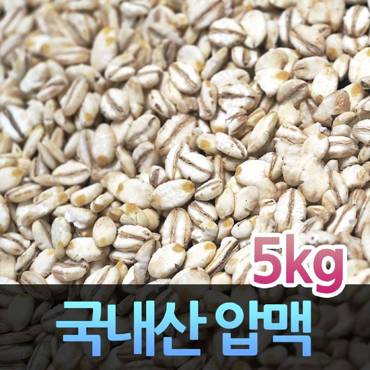 국내산 잡곡 납작보리 눌린보리쌀 압맥 5kg 홈플러스 택배배송