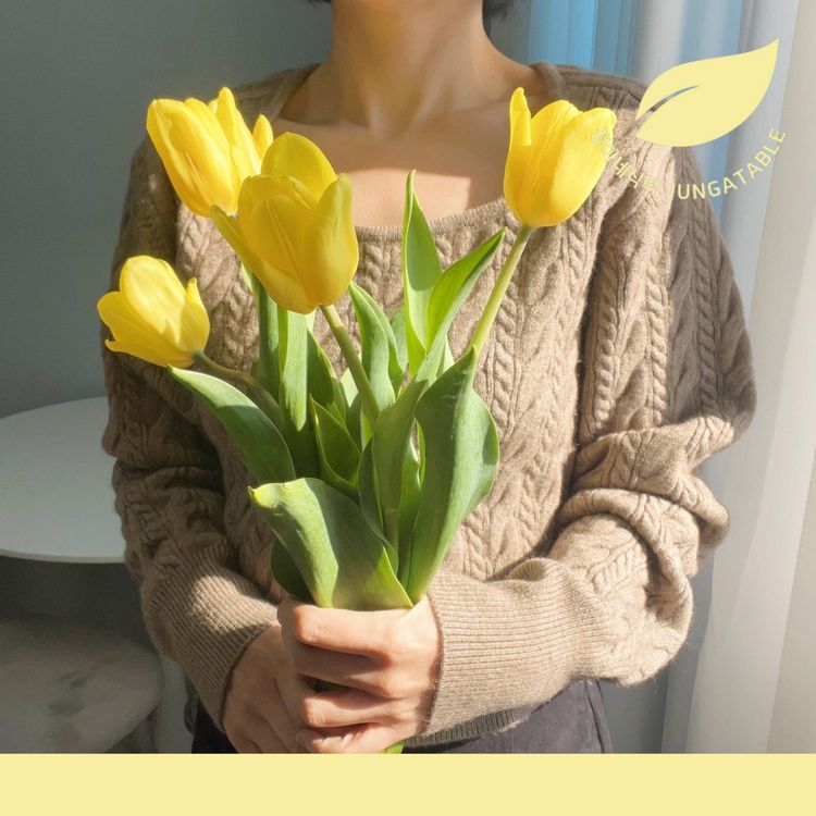 정아네식탁 생화 튤립 5송이 노란빛 꽃다발 택배 홈플러스 택배배송