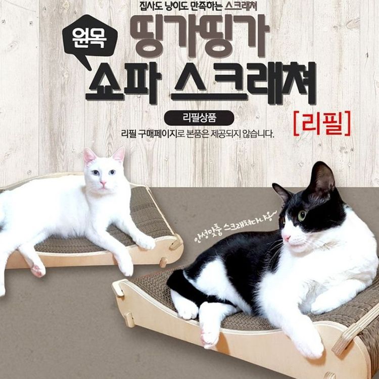 힐링타임 띵가띵가 원목 쇼파 스크래쳐 리필 Nh 251 홈플러스 택배배송