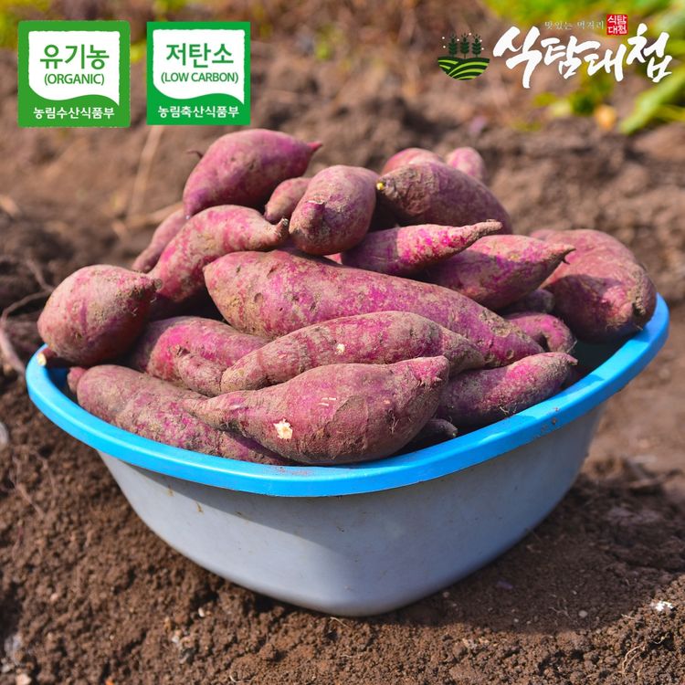 식탐대첩 담이농장 유기농 저탄소 꿀고구마 5kg 한입 홈플러스 택배배송