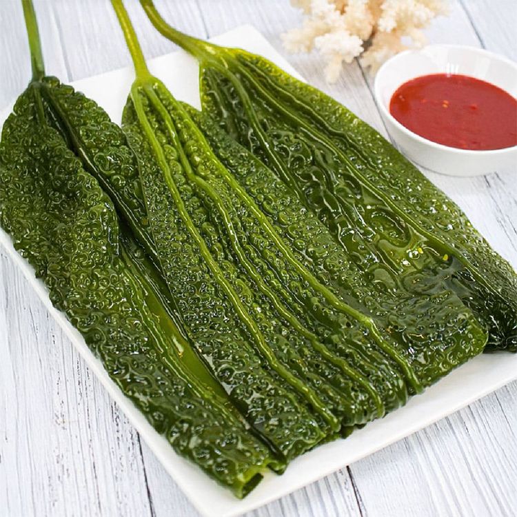 ★비밀특가★ 일품식감 25년 고흥 햇 생물곰피 쇠미역 4kg 갈치속젓 100g 홈플러스 택배배송