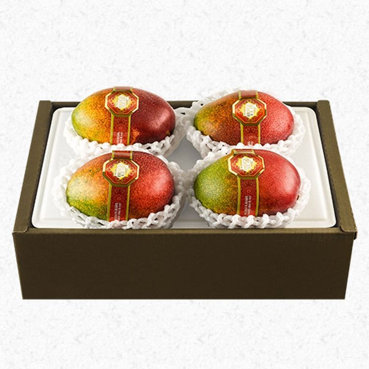 제주특산품 청정제주 귀족 애플망고 1호 2kg4수 홈플러스 택배배송