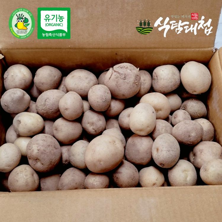 식탐대첩 유기농 스테비아감자 5kg 조림용 홈플러스 택배배송