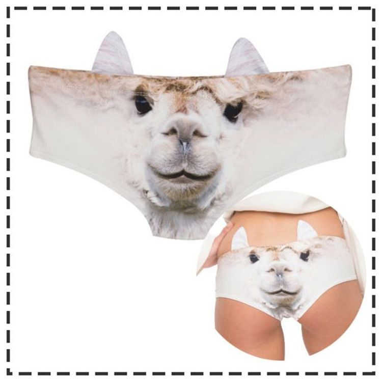 알파카 실용적인 N61914ab78c 애니멀팬티 프린팅 여성팬티 홈플러스 택배배송