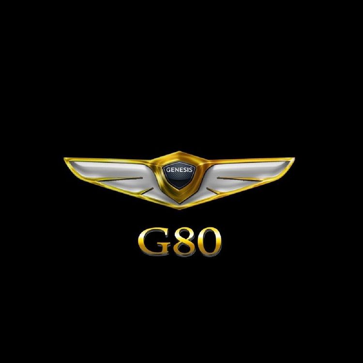 G80 매립형 Led 도어 라이트 2p 세트 자동차 용품 홈플러스 택배배송