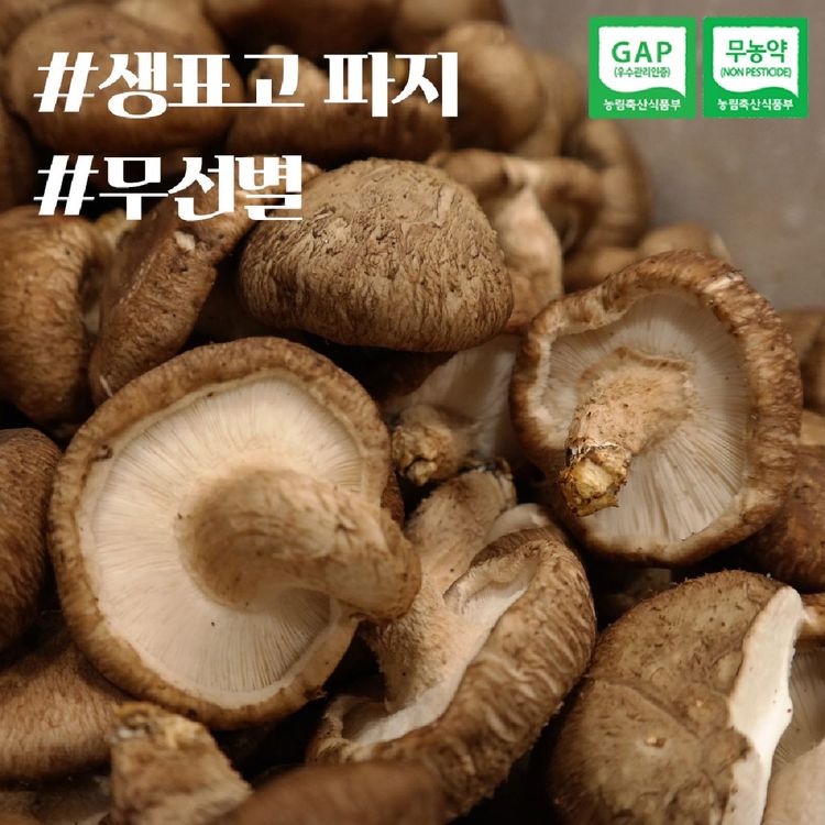 표고버섯 국내산 파지 8kg 무선별 실속형 무농약 Gap인증 산지직송 오전 주문 당일출 홈플러스 택배배송