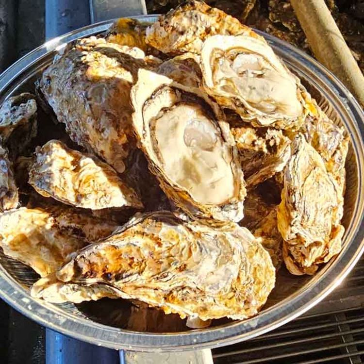 산지직송 여수산 제철 최상급 각석화 각굴 3kg 홈플러스 택배배송