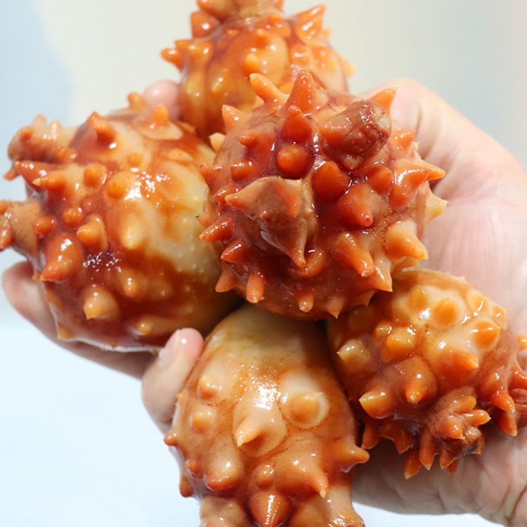 산지직송 활멍게 2kg 대중소 크기 랜덤 홈플러스 택배배송