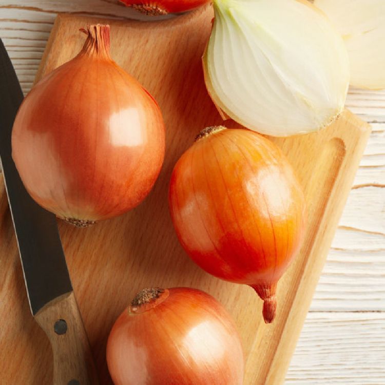 국내산 밀양 햇양파 햇 양파 3kg 소 장아찌용 홈플러스 택배배송