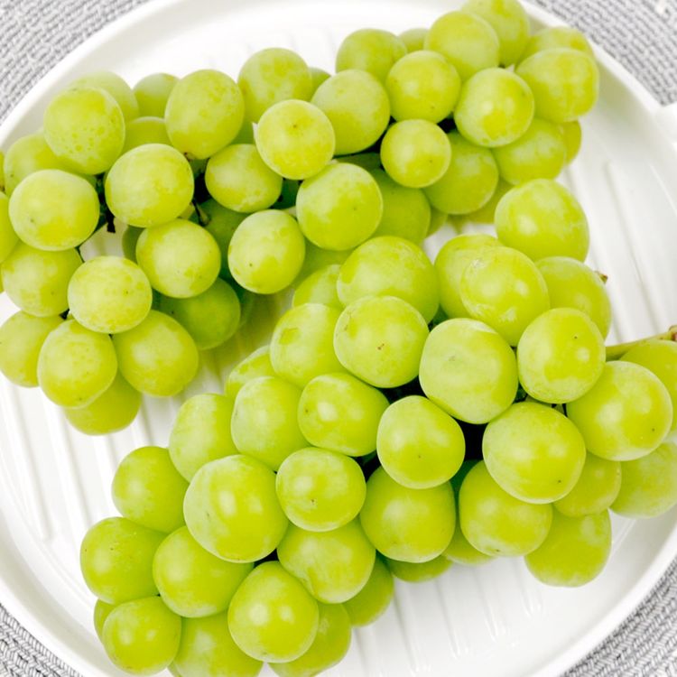 씨없는 껍질째먹는 청포도 1kg 홈플러스 택배배송