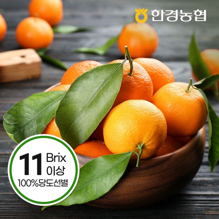 한경농협 프리미엄 당도선별 감귤 25kg 소과2s11brix이상 홈플러스 택배배송