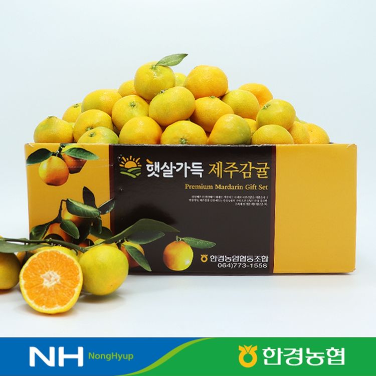 한경농협 제주 하우스감귤 25kg 소과 2s 홈플러스 택배배송
