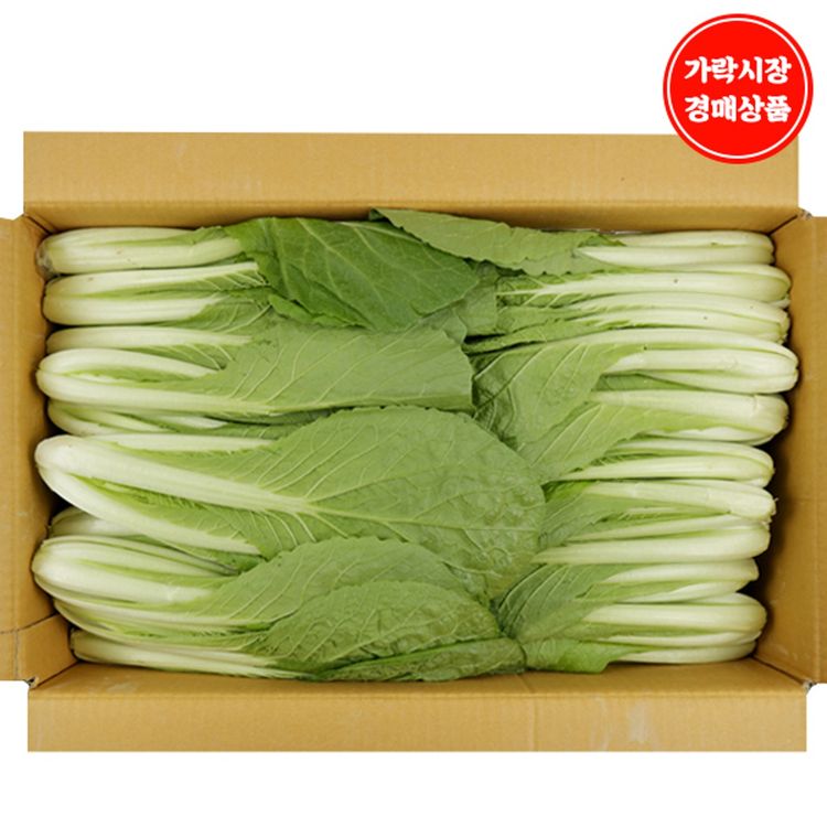 가락시장 경매 식자재 채소 솎음배추 4kgbox 홈플러스 택배배송