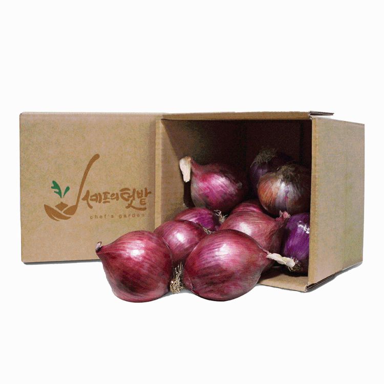 착한식탁 자색양파 10kg 중 홈플러스 택배배송