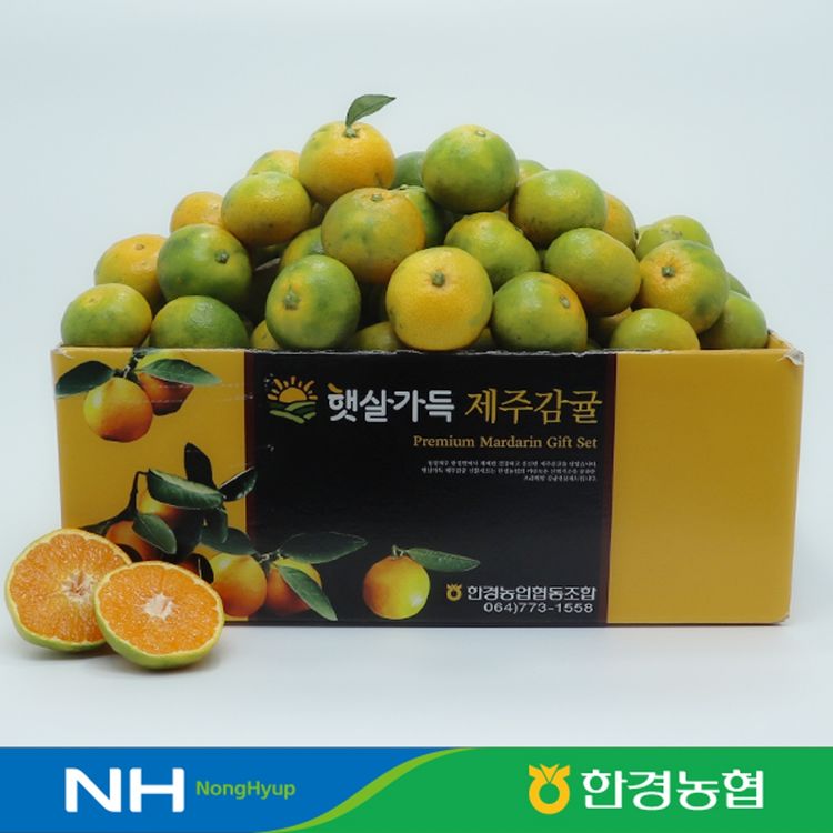 한경농협 첫수확 제주 햇감귤 9kg 로얄과s M 홈플러스 택배배송