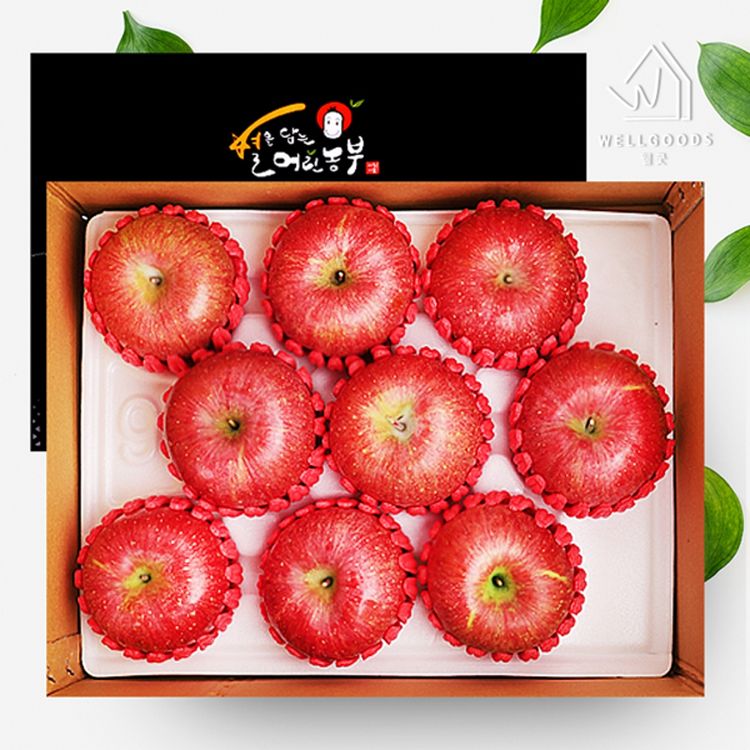 경북 명품 제수용 사과선물세트 5kg10 12과 홈플러스 택배배송