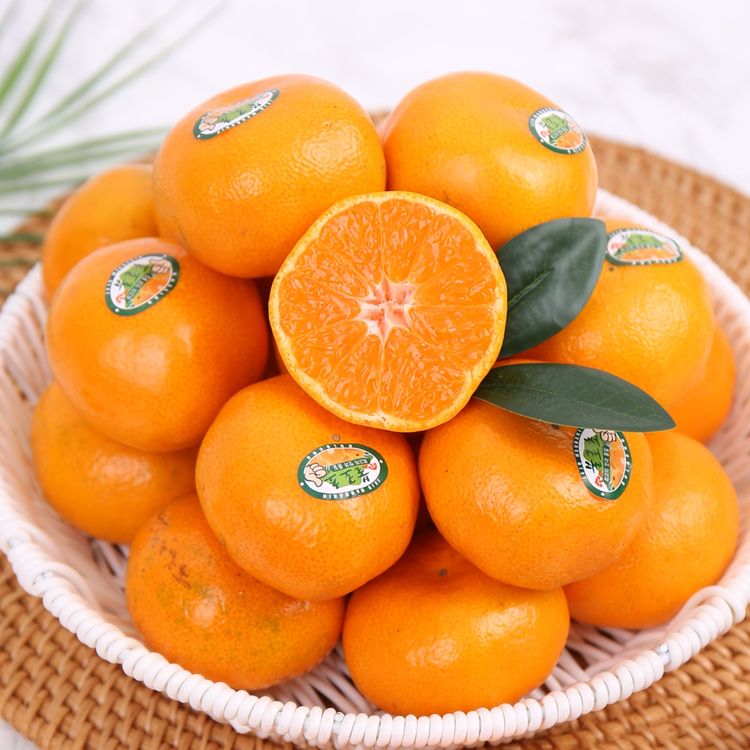 당도선별 달콤한 제주 불로초 감귤 3kg 로얄과2s M 홈플러스 판매자택배