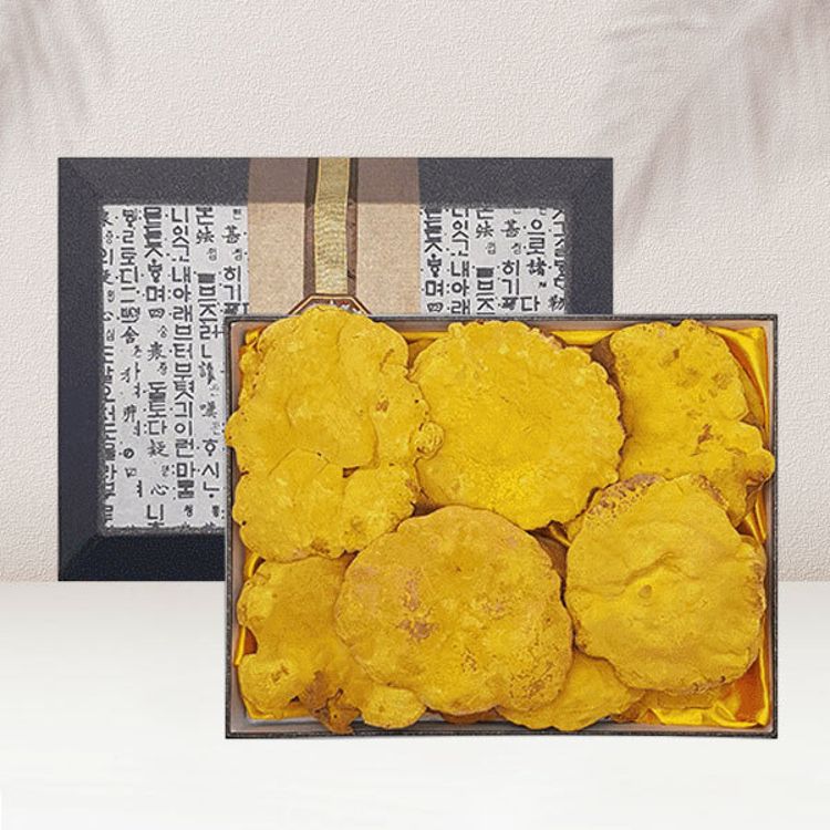 브라이트데이 프리미엄 국내산 상황버섯 500g 선물세트 24cco012 홈플러스 택배배송
