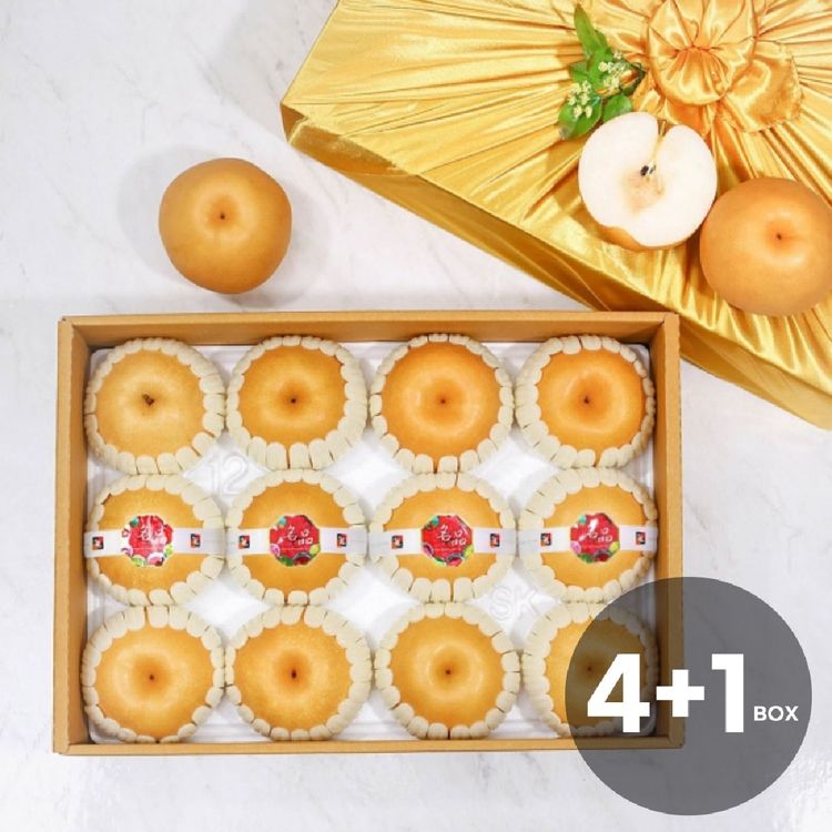 [자연예서] 명품 나주 배 선물세트 7.5kg (11-12과) 4+1박스 | 홈플러스 택배배송