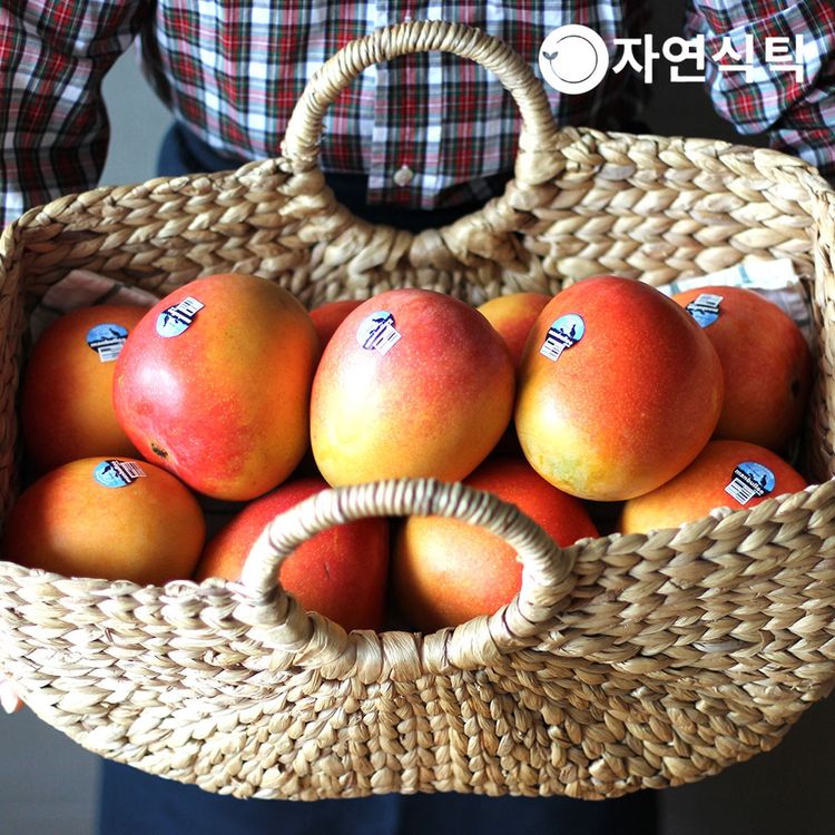 신품종 호주산 정품 칼립소 애플망고 6입 대과400g내외 홈플러스 택배배송