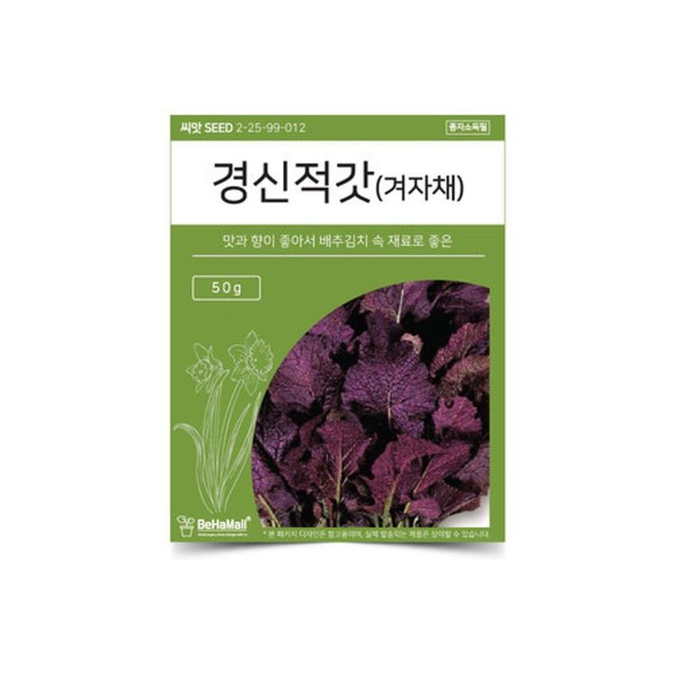 베하몰 텃밭 채소 씨앗 경신 적갓 겨자채 홈플러스 택배배송