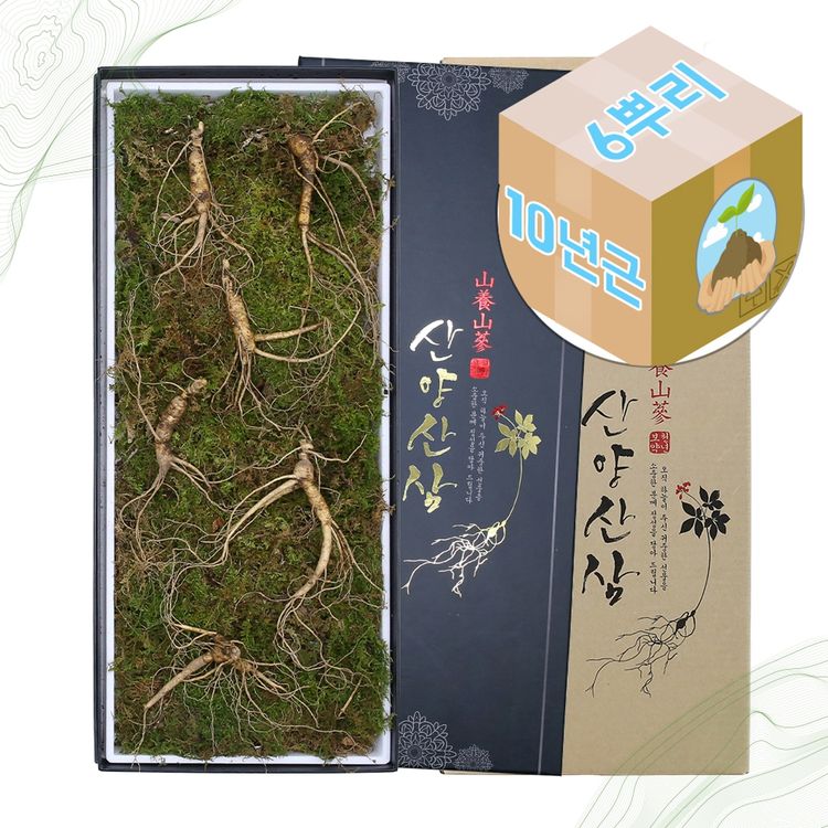 D Farm 국내산 산양산삼 산양삼 10년근 정품 6주 홈플러스 택배배송