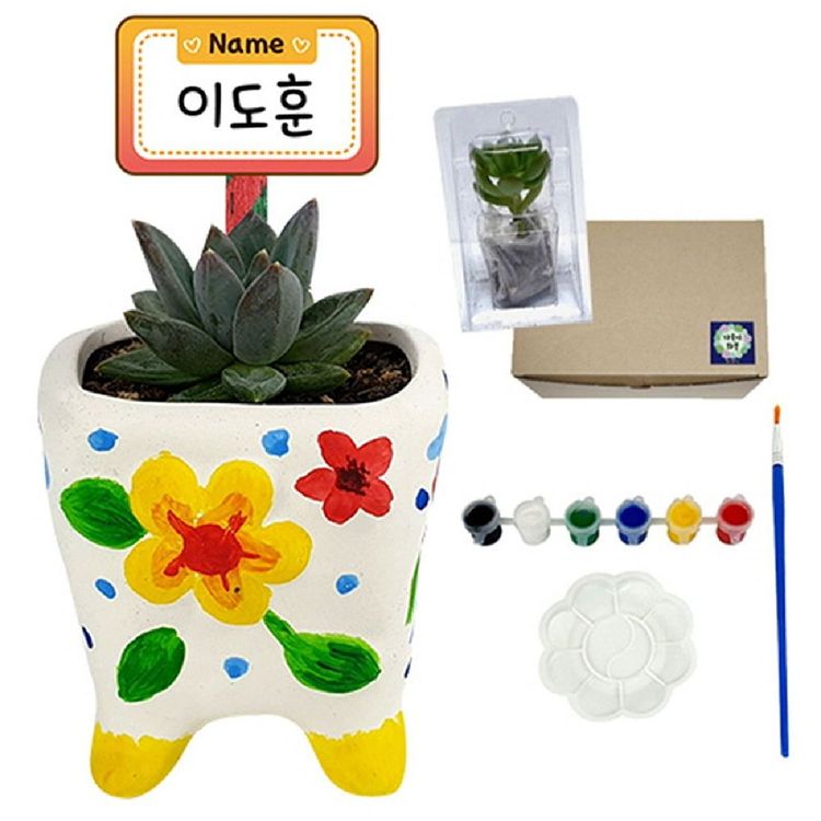만들기대장 다육식물 입체화분 물감세트식물보호케이 홈플러스 택배배송
