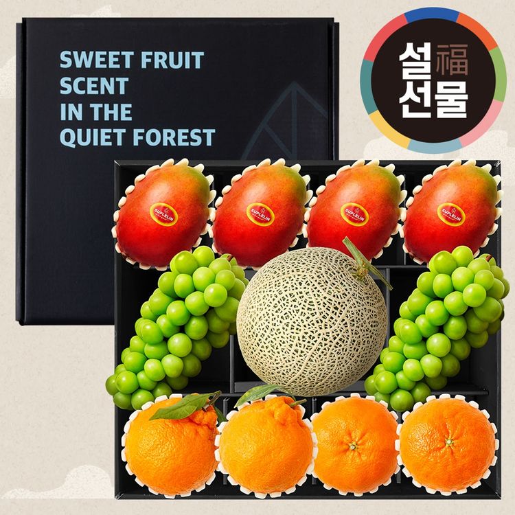 프리미엄 특대 샤인and메론and애플망고and만감4입 선물세트 9호총63kg 이상 홈플러스 택배배송