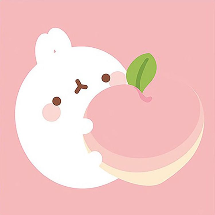 몰랑 복숭아 몰랑이 보석십자수 액자세트 15x15 홈플러스 택배배송