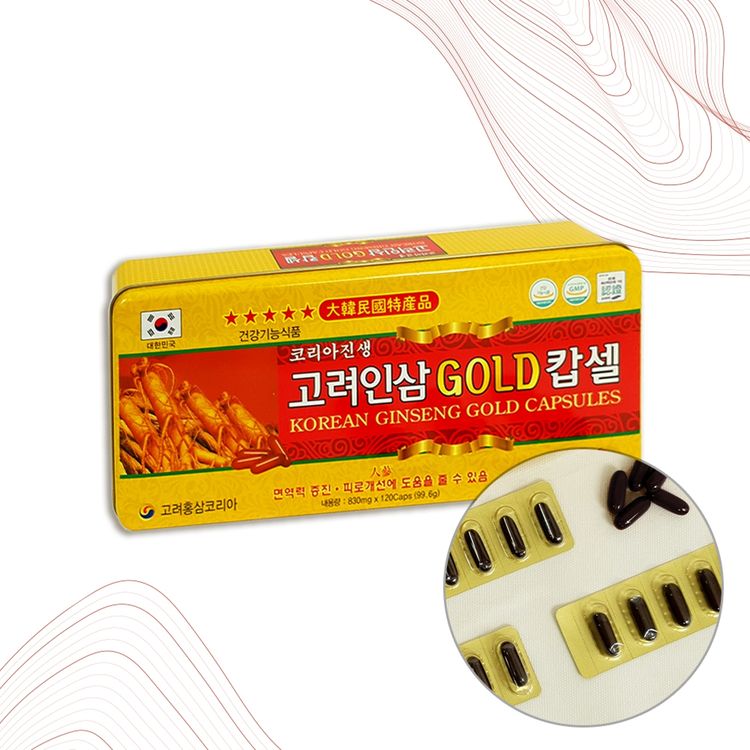 Gsday 고려 인삼 녹용 영지버섯 동충하초 캡슐 120정 홈플러스 택배배송