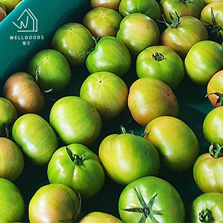 산지직송 당일수확 부산 대저 토마토 25kgl 홈플러스 택배배송
