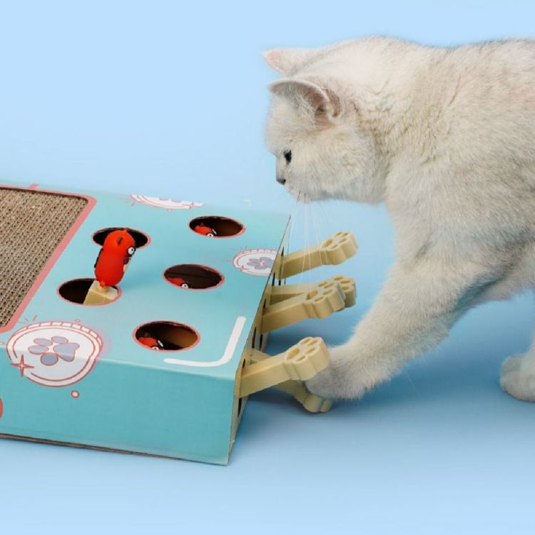 제이엘펫 고양이 두더지 스크래쳐 움직이는 장난감 홈플러스 판매자택배