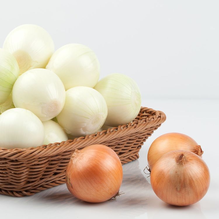 국내산 흰양파 소장아찌용 5kg 홈플러스 택배배송