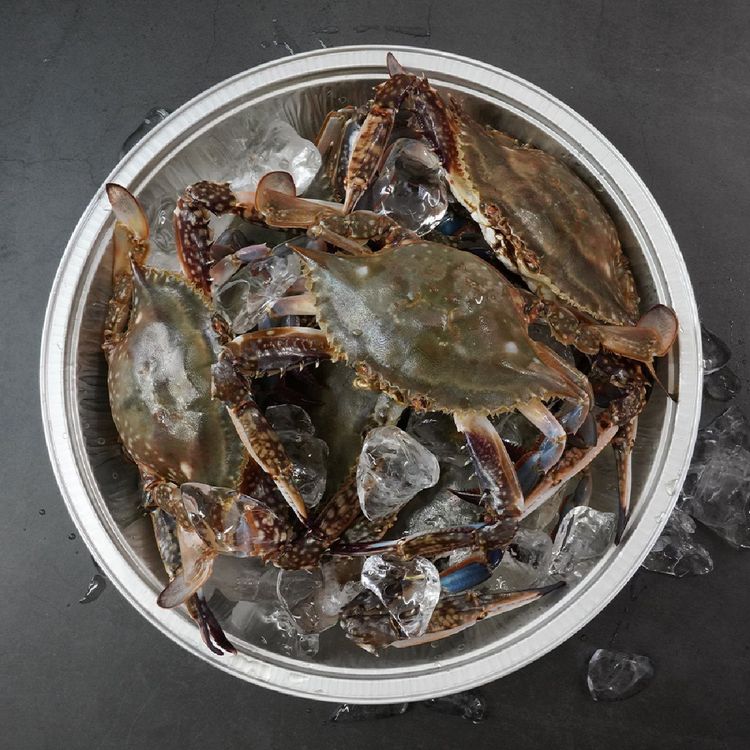 제철 가을 생물 꽃게 3kg 9~14미 숫꽃게 얼음포장 홈플러스 택배배송