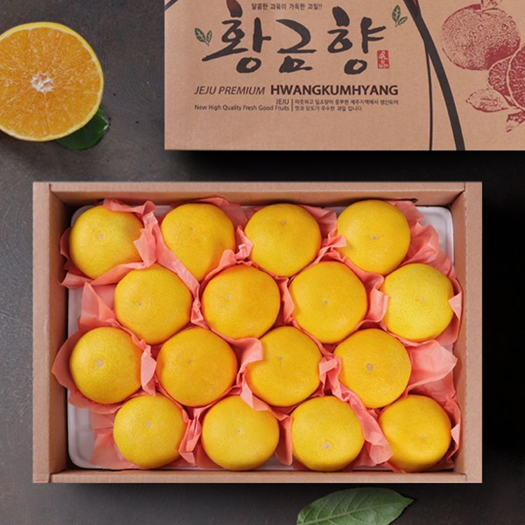 제주바람 제주의 달콤함 황금향 선물세트 3kg 로얄과13~17개 제주직송 홈플러스 택배배송