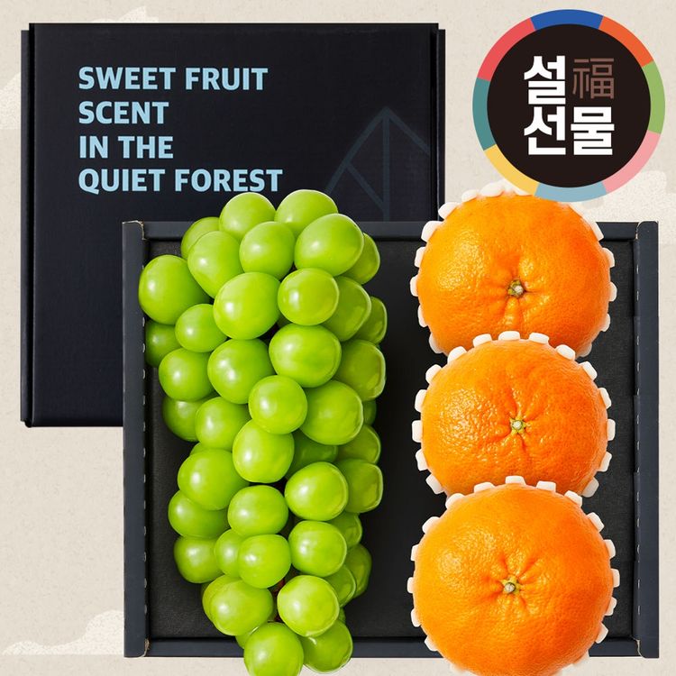 프리미엄 샤인머스켓1입and레드향3입 선물세트총14kg이상 홈플러스 택배배송