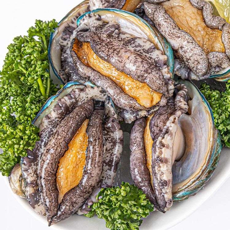 남도장터 블랙빈 완도 노화도 활전복 참전복 1kg 7 8미 홈플러스 택배배송