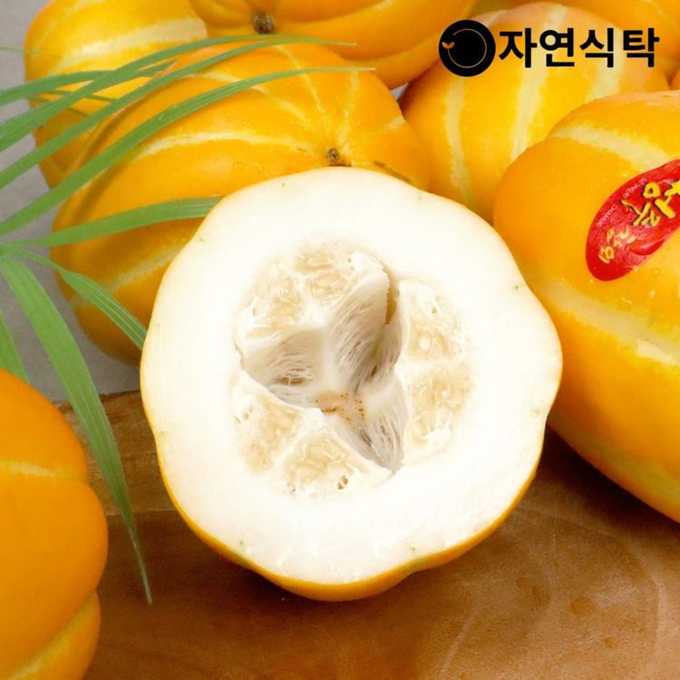 농협선별 가정용 고당도 성주참외 10kg 로열과25 45과 홈플러스 택배배송