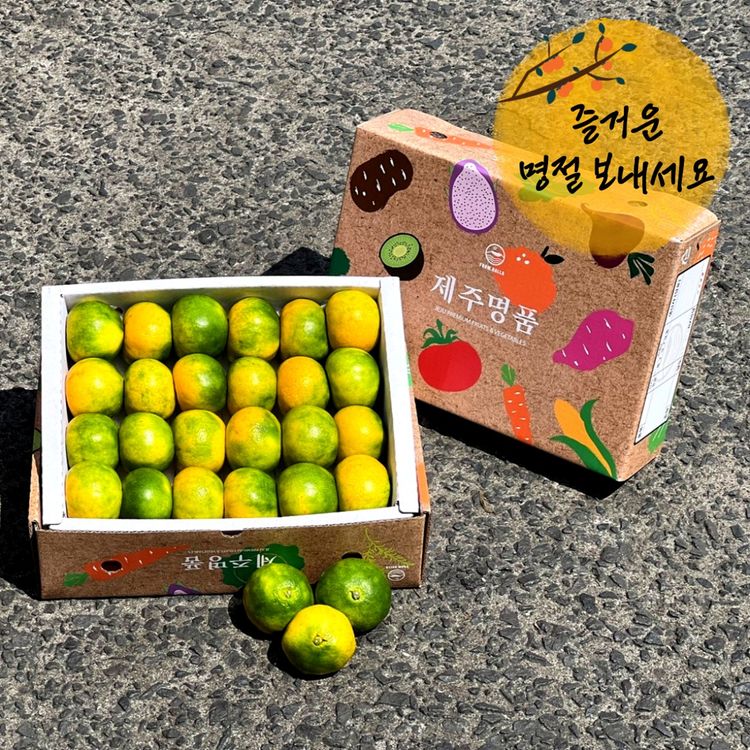 명절 선물세트 프리미엄 제주 귤 25kg 홈플러스 택배배송