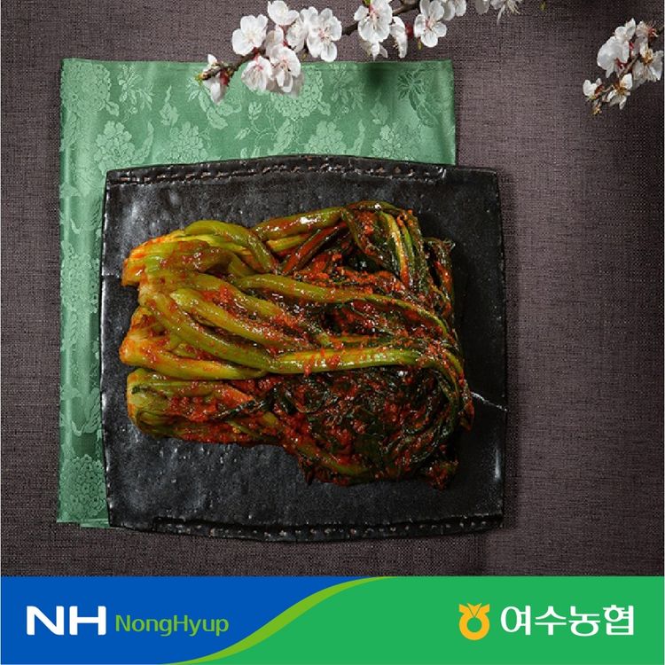 여수농협산지직송 여수 돌산 갓김치 3kg 농협정품 홈플러스 택배배송