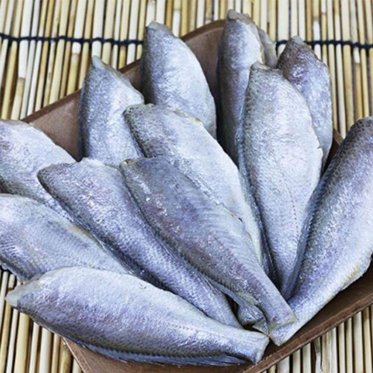 남도장터 더디오 영광 법성포 반건조 손질굴비 2kg 냉동 홈플러스 택배배송