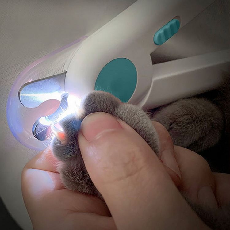Led 발톱깎이블루 강아지 고양이발톱깎이 홈플러스 택배배송