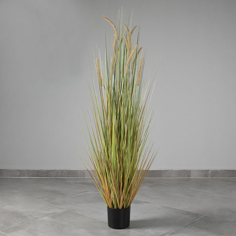 강아지풀 조화브라운그린아이보리150cm 인조갈대 홈플러스 택배배송