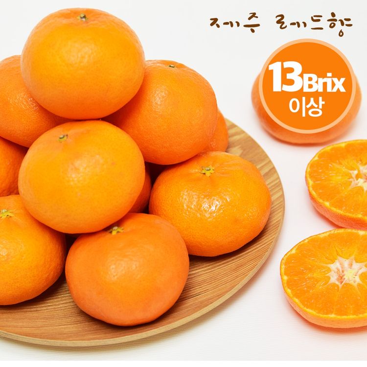 제주맛집 13brix이상 고당도 당도선별 레드향 25kg 가정용 벌크포장 중소과 홈플러스 택배배송