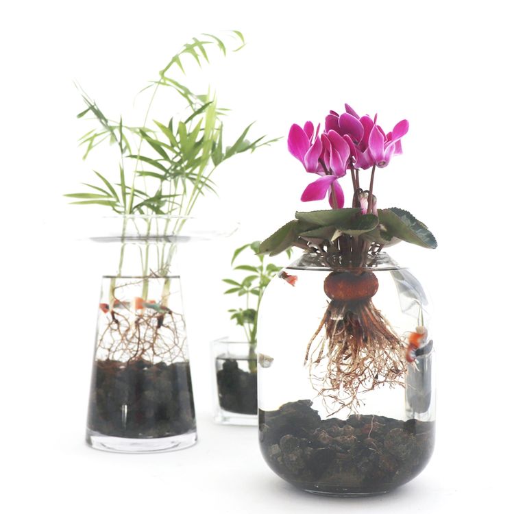 화분월드 화산석 세척 블랙 마사토 대립 1l 홈플러스 택배배송