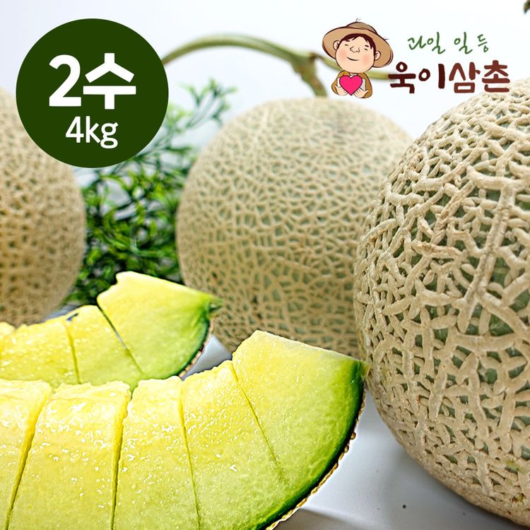 욱이삼촌 머스크 멜론 2수 4kg 홈플러스 판매자택배