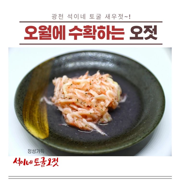 광천석이네 새우젓 오젓 500g 홈플러스 택배배송