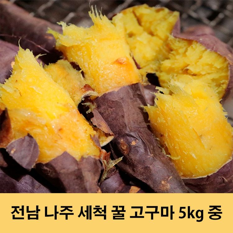 산지직송 전남 나주 세척 햇 꿀 고구마 베니하루카 5kg 중 홈플러스 택배배송