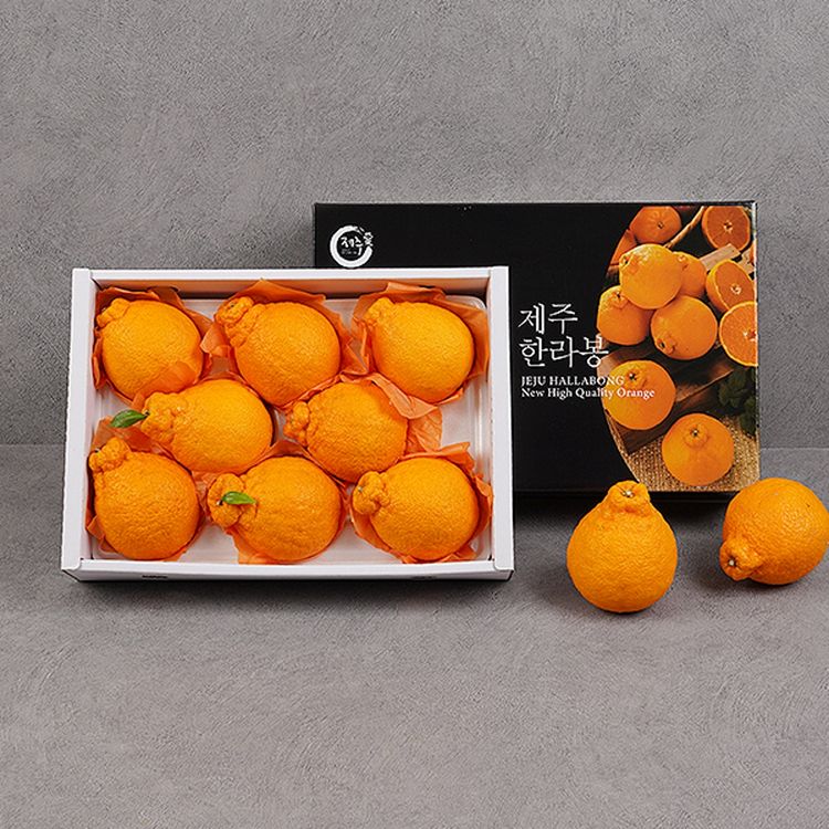 제주 한라봉 선물세트 3kg 홈플러스 택배배송