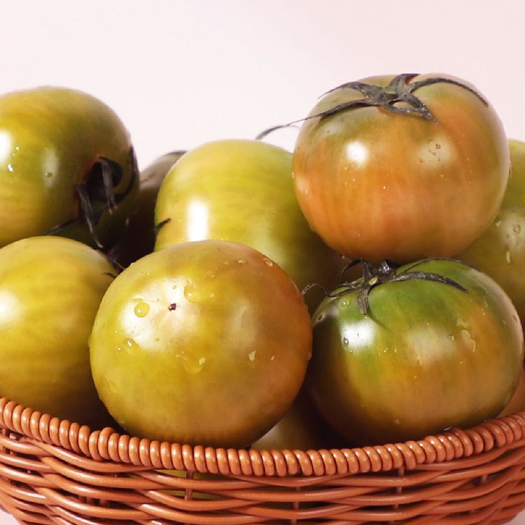 정상철 생산자 흙사랑 짭짤이 대저토마토 2kg S~3s 홈플러스 택배배송